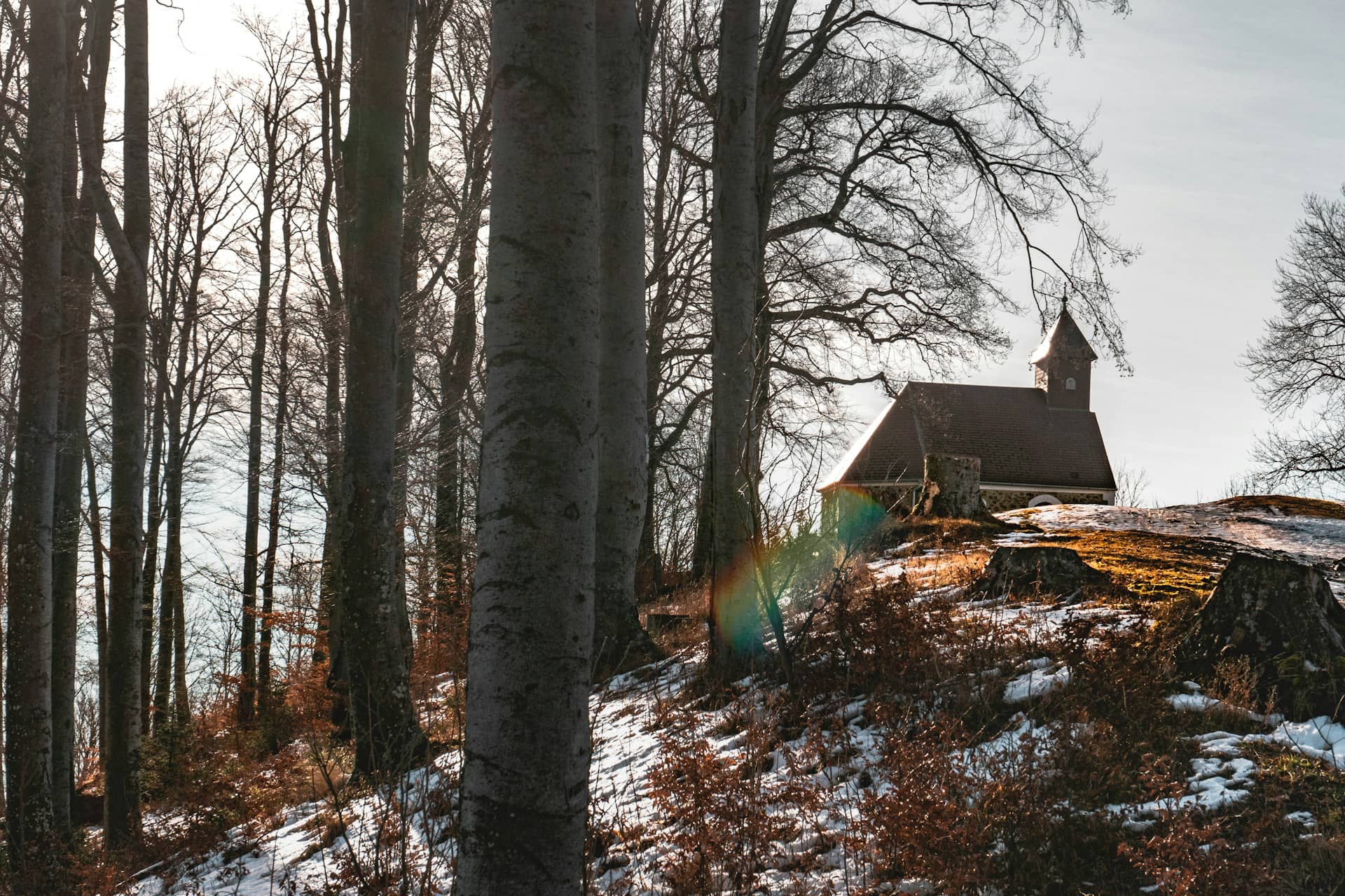 Why House Churches Are Thriving in the 21st Century - Awakening House